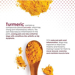 Joint MAX TS Joint Supplement Vet Formulated Pain & Inflammation Relief Treats Hip Dysplasia & Arthritis.Glucosamine, Chondroitin, Turmeric, MSM, HA, Creatine, Omega 3 EPA+DHA. All Dogs 240 Soft Chews