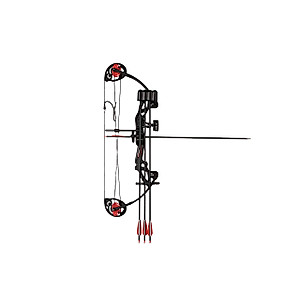 PANDARUS Compound Bow Archery for Youth and Beginner, Right Handed,19”-28” Draw Length,15-29 Lbs Draw Weight, 260 fps (Black Right Handed)