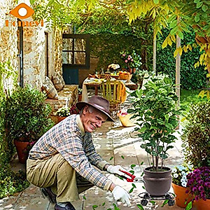 Plant Caddy with Wheels Heavy Duty, Metal Iron Large Potted Plant Stand Holder, Move Around Indoor Outdoor Garden Patio Flower Pot,Planter Adjustable Rolling Dolly Casters with Locking 13 Inch 2 Pack