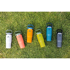 Stanley IceFlow Stainless Steel Tumbler with Straw - Vacuum Insulated Water Bottle for Home, Office or Car - Reusable Cup with Straw Leak Resistant Flip - Cold for 12 Hours or Iced for 2 Days (Polar)