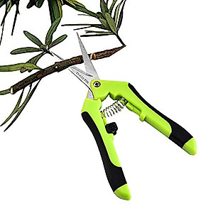 JF-XUAN Shear Tool Multifunctional Pruning Shears Garden Small Scissors Fruit Picking Scissors Trim Weed Household Potted Branches Gardening Tools (Color : As pic5)