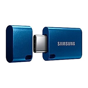 Samsung Type-C™ USB Flash Drive, 256GB, Transfers 4GB Files in 11 Secs w/Up to 400MB/s 3.13 Read Speeds, Compatible w/USB 3.0/2.0, Waterproof, 2022, Blue, MUF-256DA/AM