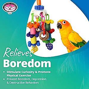 Super Bird Creations SB878 4 Way Fun Bird Toy, Medium/Large Bird Size, 11" x 4.5"