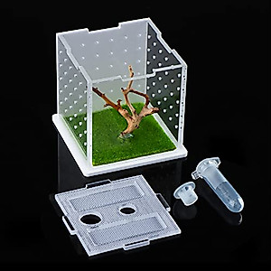 Spider Acrylic Breeding Box, Tarantula Transparent Terrarium, Jumping Spider Feeding Box, Insect Habitat Hatching Container Cage