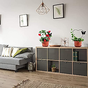 Potted Plants Support, Love Heart Backdrop Stand, 2 Pack Black Iron Garden Trellis for Climbing Plants, Garden Stem Stalks Vines, Garden Decoration