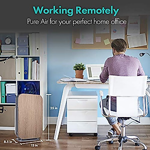 Alen BreatheSmart FLEX HEPA Air Purifier, Medical Grade Filtration H13 True HEPA for 700 SqFt, 99.9% Airborne Particle Removal, Air Purifier for Allergens, Dust, Mold, Pet Dander, Heavy Odors, (White)