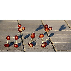 Gmark Bamboo Wooden Toothpicks 1600 Pieces Wood Round Toothpicks in Plastic Storage Holder| Sturdy Double Sided for Party, Olive, Fruit, Teeth Cleaning Toothpicks (4 Packs of 400pc) GM1102