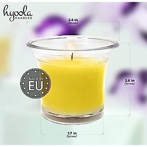 HYOOLA Clear Cup Filled Citronella Votive Candles - 12 Hour Burn Time - 12-Pack, Ideal Bug Repellent Candles, European Made