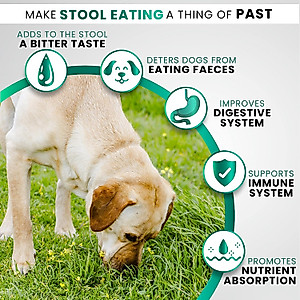 Grateful Pawz No Poo Chews for Dogs - Coprophagia Stool Eating Deterrent for Dogs -120 Chews Prevent Dog from Eating Poop - Stop Eating Poop for Dogs Supplement