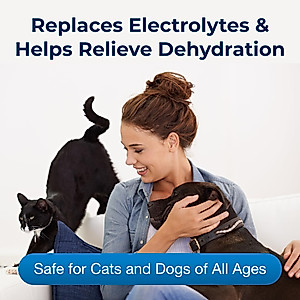 Pet-Ag Pet Pectillin Anti-Diarrheal - 4 oz, Pack of 3 - Helps Relieve Diarrhea or Loose Stool in Dogs and Cats - Replaces Lost Electrolytes - Easy to Administer