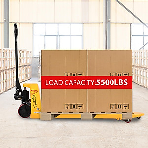 Aequanta Manual Pallet Jack 5500Lbs Capacity Professional Pallet Truck 21" W x 48" L Fork Size