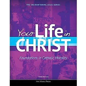 Your Life in Christ (Third Edition) (Encountering Jesus)