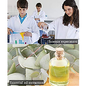 moveland 0.2ml Plastic Mini Transfer Pipettes for Liquid Mixture, 350PCS Disposable Dropper