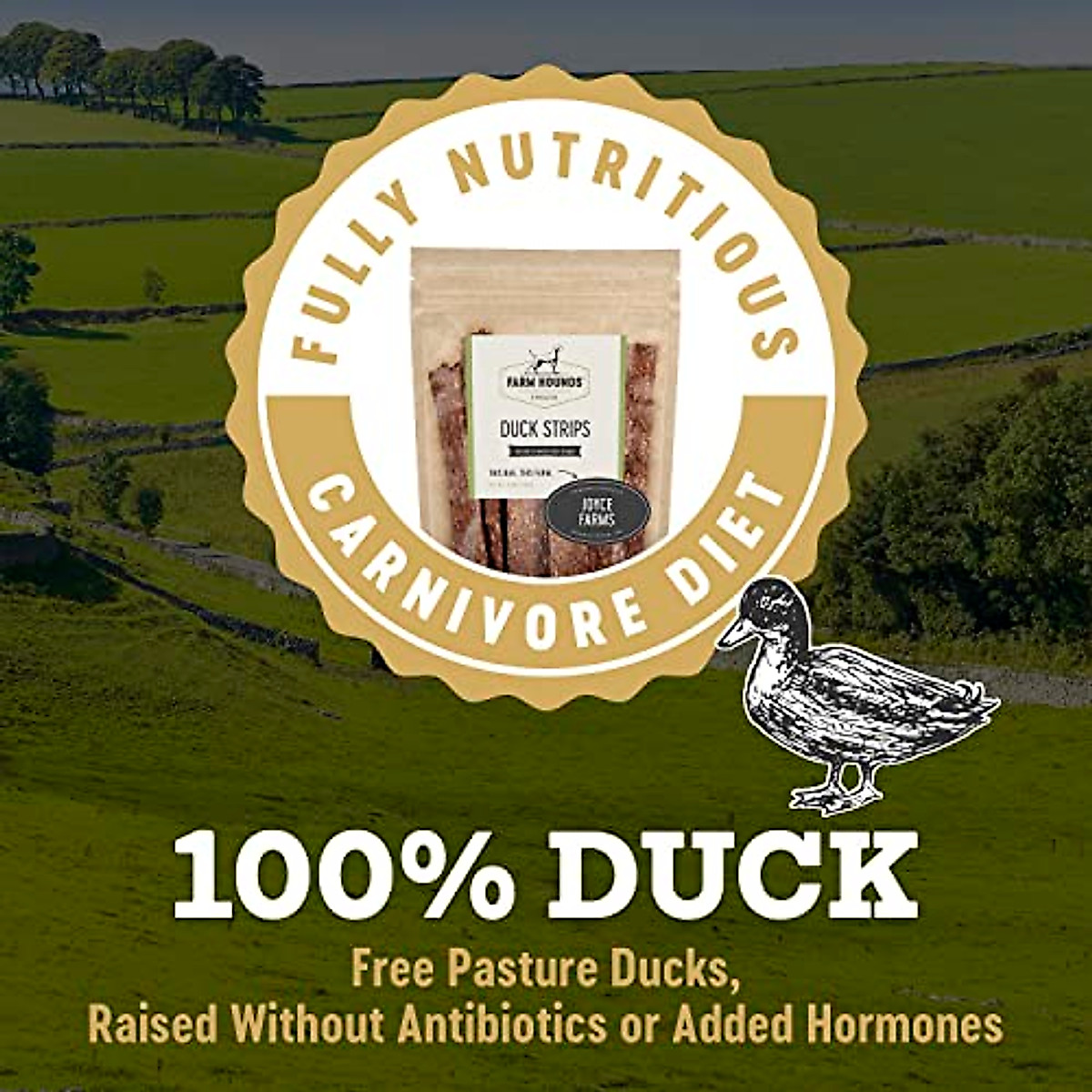 Farm Hounds Premium Natural Duck Treats for Dogs, 100% Made from Humanely-Raised Ducks, No Fillers Added, Nutrient-Rich Duck Jerky Dog Treats, Healthy Delicious Dog Strips, Made in USA