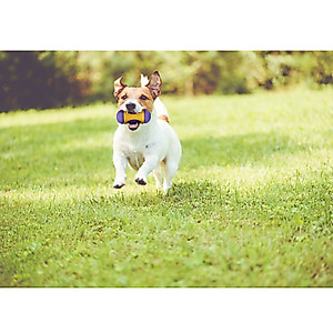 WWW Dog Chew Toys for Aggressive Chewers, Puppy Teething Chew Toy Tough Dog Toys with Natural Rubber for Small Medium Large Breeds, Teeth Cleaning and Gum Massage for Small Medium Large Dog,Red