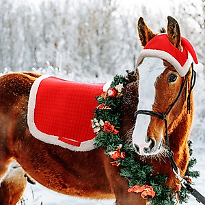 Abbylike 6 Pcs Christmas Holiday Santa Leg Wraps with Faux Fur Trim Holiday Santa Horse Hat All Purpose Santa Saddle Pad for Christmas Horse Costume Accessories