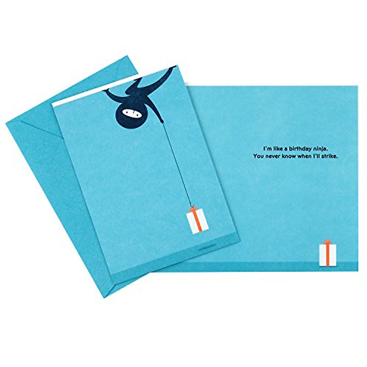 Hallmark Shoebox Funny Belated Birthday Card Assortment (5 Cards with Envelopes), Belated, 5 Cards (1399RZG1000)