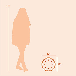 Bloem Ups-A-Daisy Round Planter Insert: 12" - Orange - Durable Resin Disk, Drainage Holes, Place Inside A Planter, Use Less Potting Soil, for Indoor & Outdoor Use, Gardening