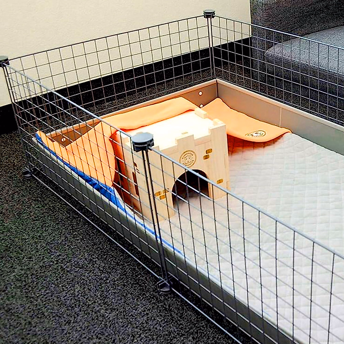 GuineaDad Original Liner - Orange Fleece Guinea Pig Bedding - Reusable Guinea Pig Cage Liner - Extra Absorbent with Waterproof Bottom and Burrowing Pocket - Small Pet Supplies - 2x3 C&C