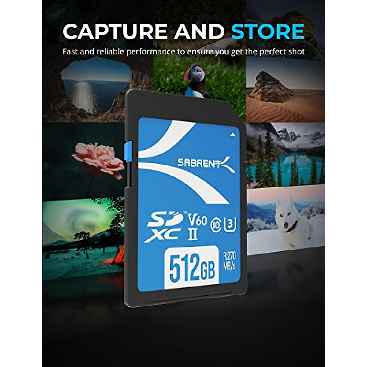 SABRENT Rocket V60 512GB SD UHS-II Memory Card R270MB/s W170MB/s (SD-TL60-512GB)