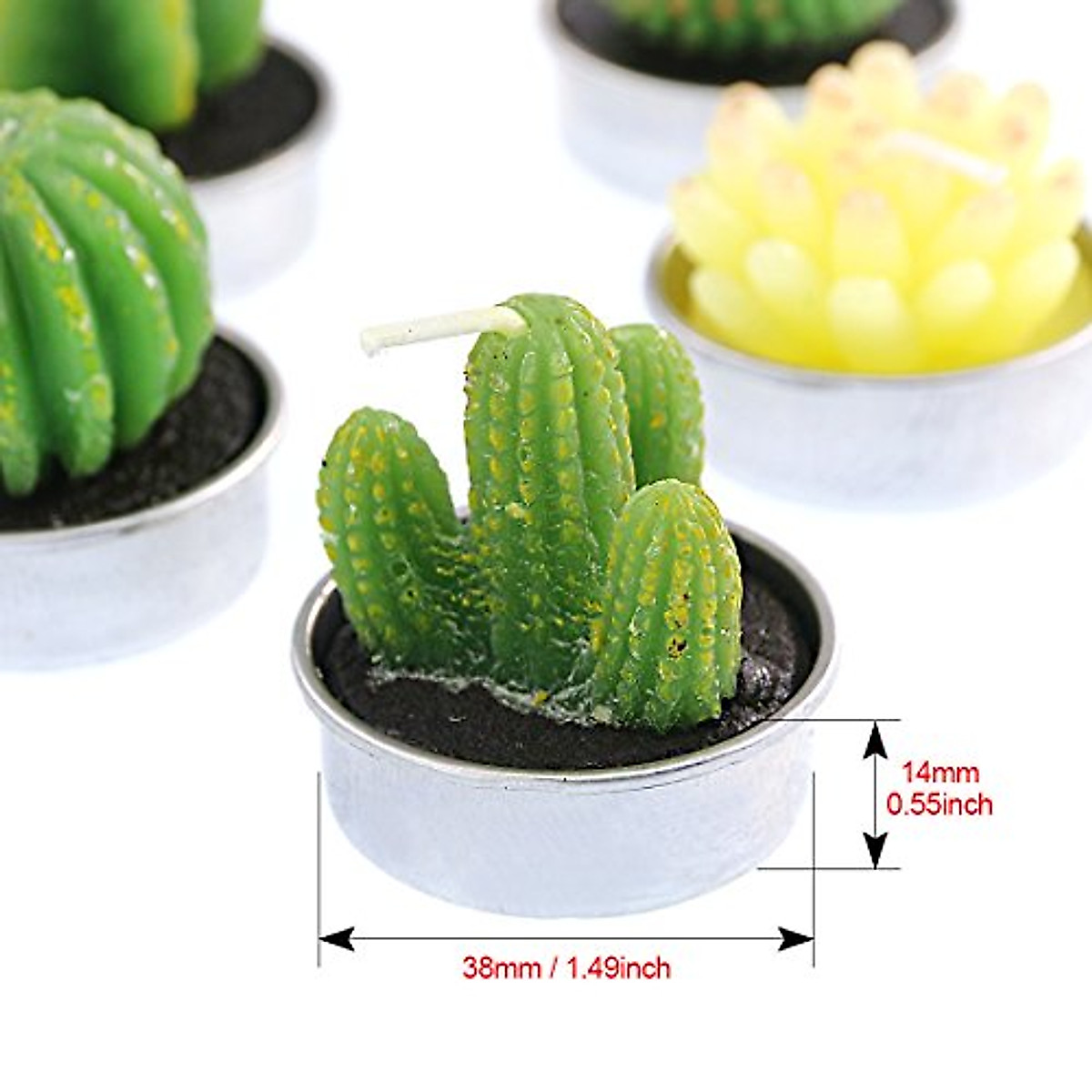 Swpeet 12Pcs Decorative Succulent Cactus Tealight Candles Kit, Cute Smokeless Succulent Plants Perfect for Candles Festival Wedding Props and House-Warming Party