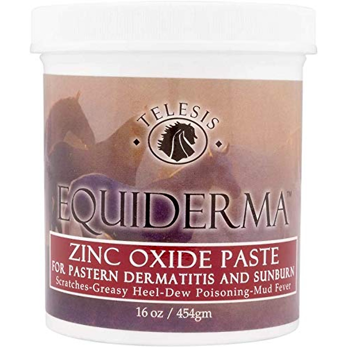 EQUIDERMA (2 Pack) Horse Skin Lotion and Zinc Oxide Paste 16oz with 10ct pet Wipes