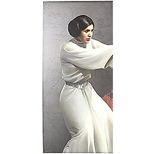 Star Wars Destiny Princess Leia Dice Binder | Protect and Organize Star Wars Destiny Collectible Dice and Cards | Convenient Game Storage | Holds 44 Cards and 44 Dice | Made by Fantasy Flight Games
