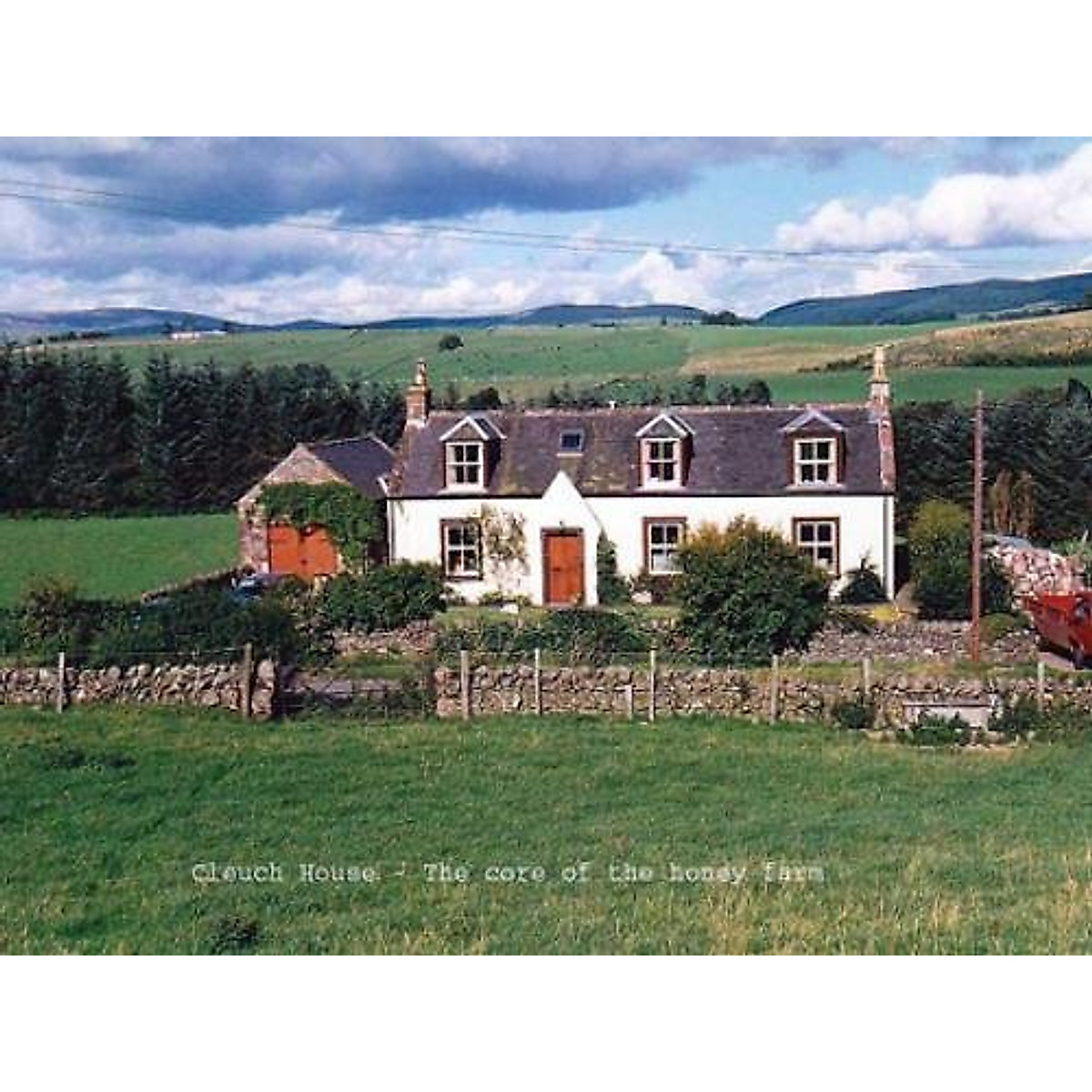 Mellis Scottish Blossom Honey, 12- Ounce Jar