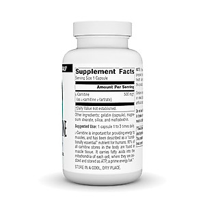 Source Naturals L-Carnitine 500 mg for Metabolic Energy - 120 Capsules