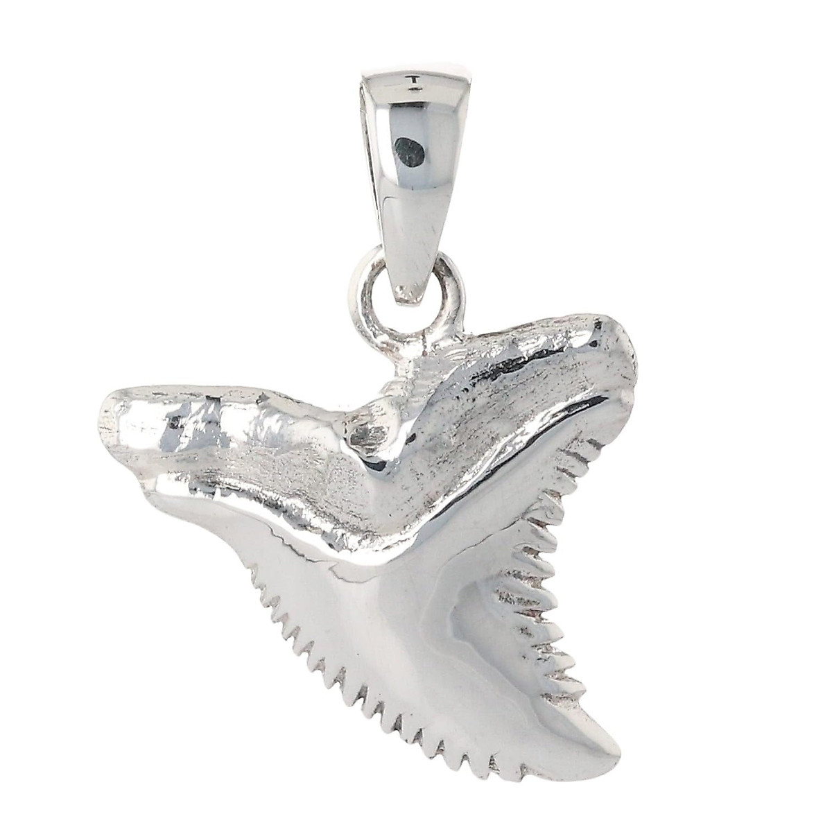 Jewelry Trends Sterling Silver Shark Tooth Pendant