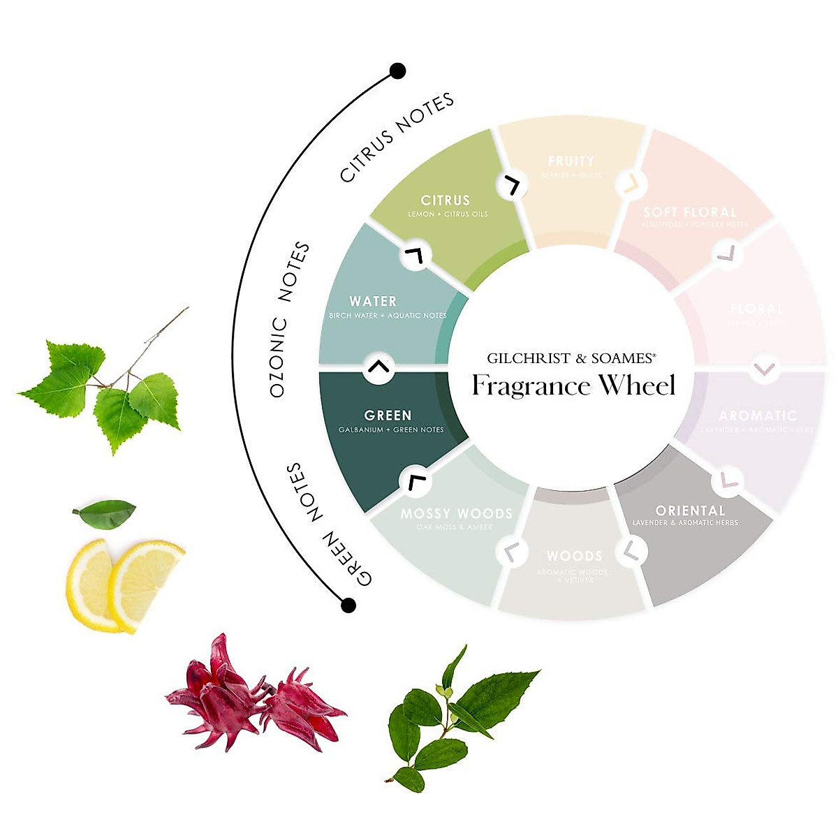 Gilchrist & Soames Shampoo (Zero% Collection Shampoo, 15.5oz)