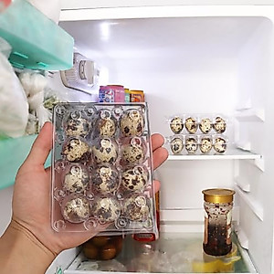 210 Pack Quail Egg Cartons, Clear Plastic Quail Egg Trays, Holds up to 12 Quail Eggs Securely - Your Ultimate Small Eggs Carton Holders for Bulk Storage and Display by KUKLIPJIM