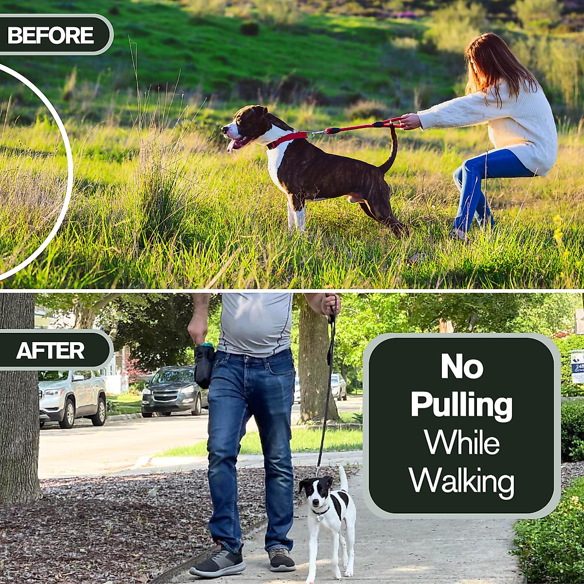 Kimberland Collars Clasp 2.25mm Stainless Steel Low Pro Dog Training Collar for Medium-Large Breeds | 16” Micro Prong Collar for Dogs 26lbs & Up | No-Pull Collar | Dog/Puppy Training & Behavior Aid