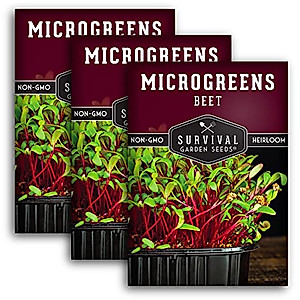 Survival Garden Seeds Beet Microgreens for Sprouting and Growing - 3 Packs - Sprout Green Leafy Micro Vegetable Plants Indoors - Grow A Mini Windowsill Garden - Non-GMO Heirloom Variety