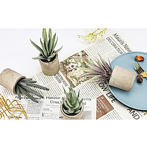 WUKOKU 4 PCS Small Fake Succulents Plants in Ceramic Pots Mini Artificial Potted Succulent Decoration for Desk, Shelves, Office and Home