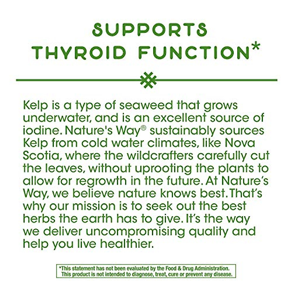 Nature's Way Kelp Supports Thyroid Function* Non-GMO Sustainably Sourced Vegan 180 Capsules