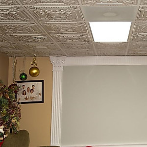 From Plain To Beautiful In Hours DCT04 Elizabethan Shield PVC 2' x 2' Lay-in or Glue-up Ceiling Tile (Covers / 40 sq.ft), Antique White, 10 Piece