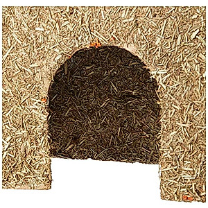 Rosewood Naturals Carrot Cottage Hamster House, Medium