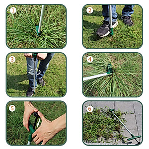 Walensee Stand Up Weeder and Weed Puller, Stand up Manual Weeder Hand Tool with 3 Claws, Stainless Steel and High Strength Foot Pedal, Weed Puller (Combo Pack - Stand Up Weeder & Hand Weeder)