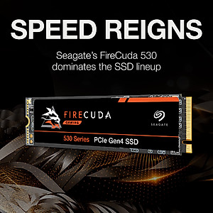 Seagate FireCuda 530, 1TB, Internal SSD, M,2 PCIe 4th Gen 4 NVMe 1.4, 7300MB/s, 3D TLC NAND, 1,275 TBW, 1.8M Hours MTBF, for PC, 3 Year Rescue Services (ZP1000GM3A013)