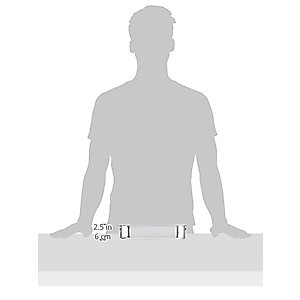 KitchenCraft KCRNR25 Stainless Steel Roasting Tin with Rack, Small, 27 x 20 cm, Silver