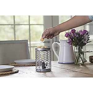 CANDLE WARMERS ETC. Vintage Bulb Illumination Fragrance Warmer- Light-Up Warmer for Warming Scented Candle Wax Melts and Tarts to Freshen Room, Chicken Wire Silver