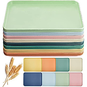 NDSWKR 8 Pieces Fast Food Serving Tray, 15 x 10 x 0.8 Inch Rectangular Cafeteria Tray, Plastic Restaurant Trays for Lunch Dinner Restaurant Kitchen Picnic Party