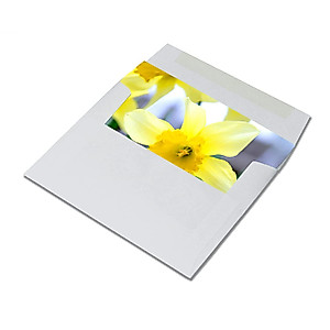 Small World Greetings Spring Flowers Notecards 24 Count - Blank Inside with Envelopes - A2 Size 5.5" x 4.25" - Floral Stationery - All Occasion Birthday, Thank You, and More