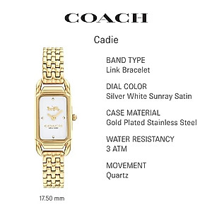 Coach Cadie Women's Watch | Timeless and Aesthetic | Designed for Every Occasion | Water Resistant (Model 14504036)