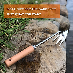 SHANFEEK Weed Puller with M-Shape Claw Weeding Artifact Uprooting Weeding Tool Dandelion Puller Tool Gardening Hand Tools Weed Remover Tool for Yard with Hard Solid Wood Handle(M-Type)