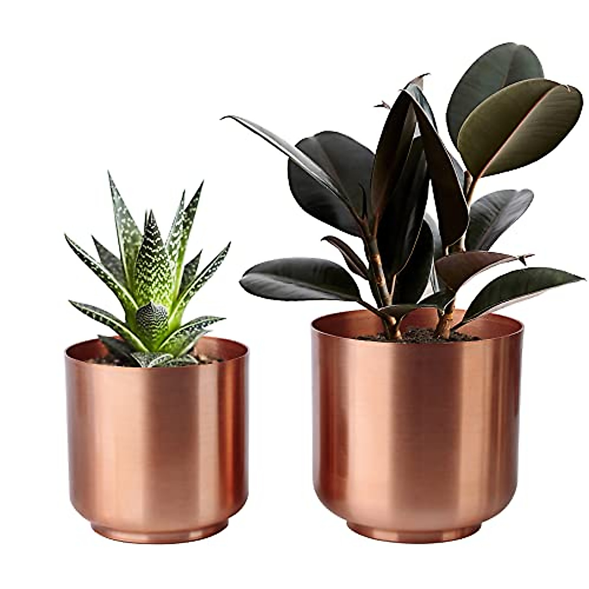 Vixdonos Copper-Tone Metal Succulent Planter Pots, 6/5.2 Inch Plant Pots Pack 2 Flower Pots Indoor with Drainage Hole