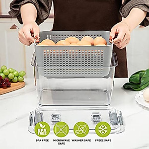 SPEARS OULET MALL | 3 in 1 Fruit Containers for Fridge | Multifunctional Draining Crisper with Strainers | BPA free Plastic Fridge Storage Containers | Food, Fruits & Vegetables Containers with Vents