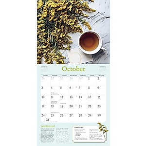 Rosemary Gladstar's Herbs Wall Calendar 2021