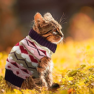 AXIIJGL Pet Dog Sweater Dog Clothes Soft Knitted Warm Pup Cat Dogs Jumper Winter Puppy Sweater for Dogs(Pink Heart,XL)